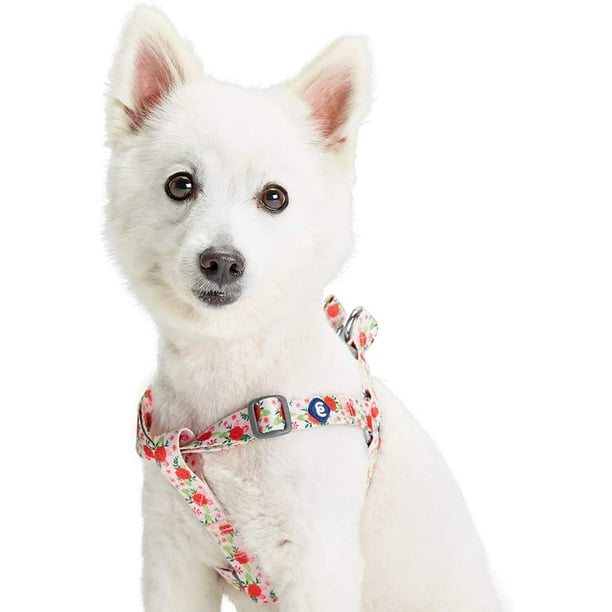 Essentials Step-in Spring Scent Inspired Garden Floral Dog Harness in ...