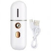 Spray Mini Portable Handheld Face Steamer, USB Rechargeable Battery ...
