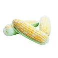 Earthcare Seeds - Sweet Corn Peaches and Cream 100 Seeds - Bi-Colored ...