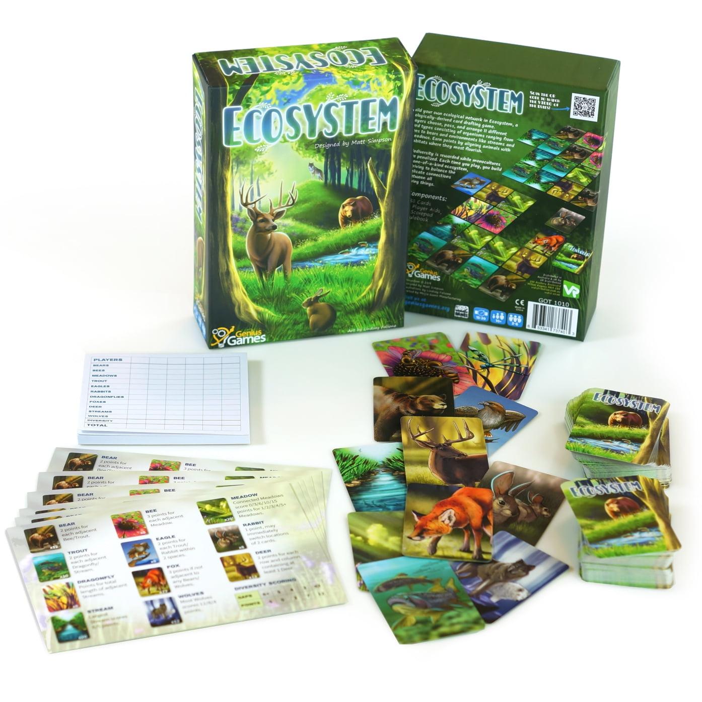 Ecosystem: A Family Forest Board Game about Animals and their Habitats ...