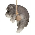 Design Toscano Mini Schnauzer Puppy on a Perch Hanging Dog Sculpture ...