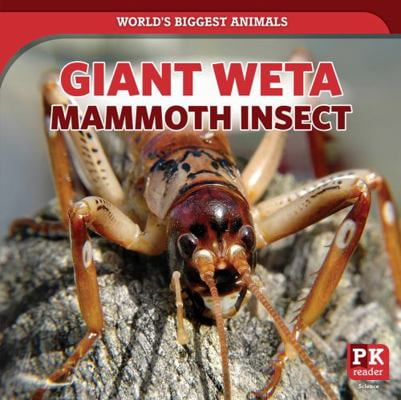Pre-Owned Giant Weta: Mammoth Insect (Library Binding) 1642825557 9781642825558 - Walmart.com
