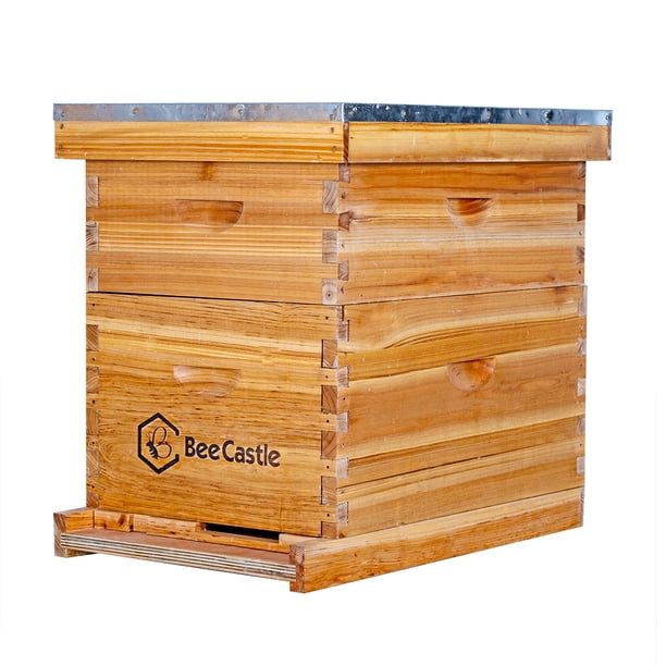 Hive Box