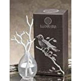 Zodax Illuminaria Porcelain Room Diffuser - Butterfly Orchid - Walmart.com