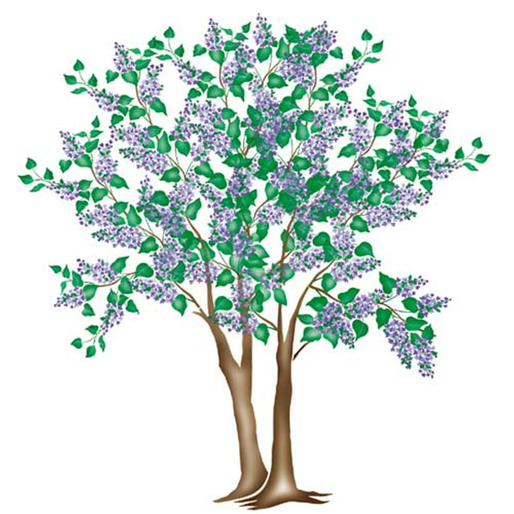 Large Lilac Tree Wall Stencil SKU #3347 by Designer Stencils - Walmart ...