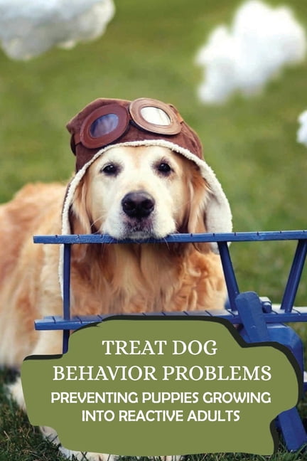 How Do You Treat A Dog With Behavior Problems