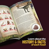 Dan&Darci Fossil Dig Kit, Real Fossils Discovery STEM Science Kit, Ages 8-12, Paleontology Tools ...