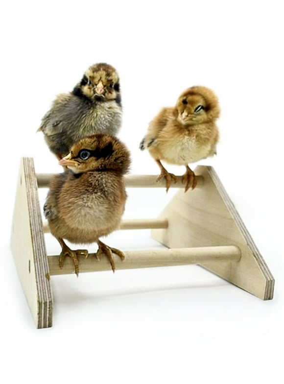 Chickens in Pets - Walmart.com