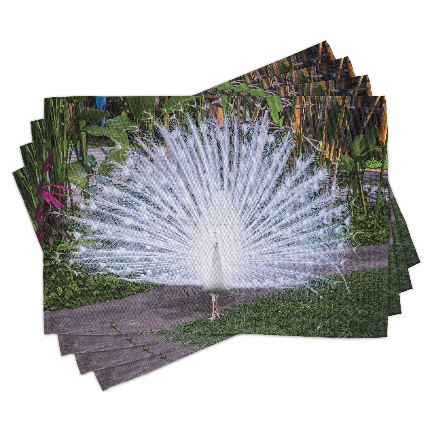 Ambesonne Peacock Place Mats Set of 4, Tropical Garden Feather ...