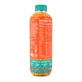 ROAR Organic Hydration Variety Pack 12 x 18 oz with Flavors and ...