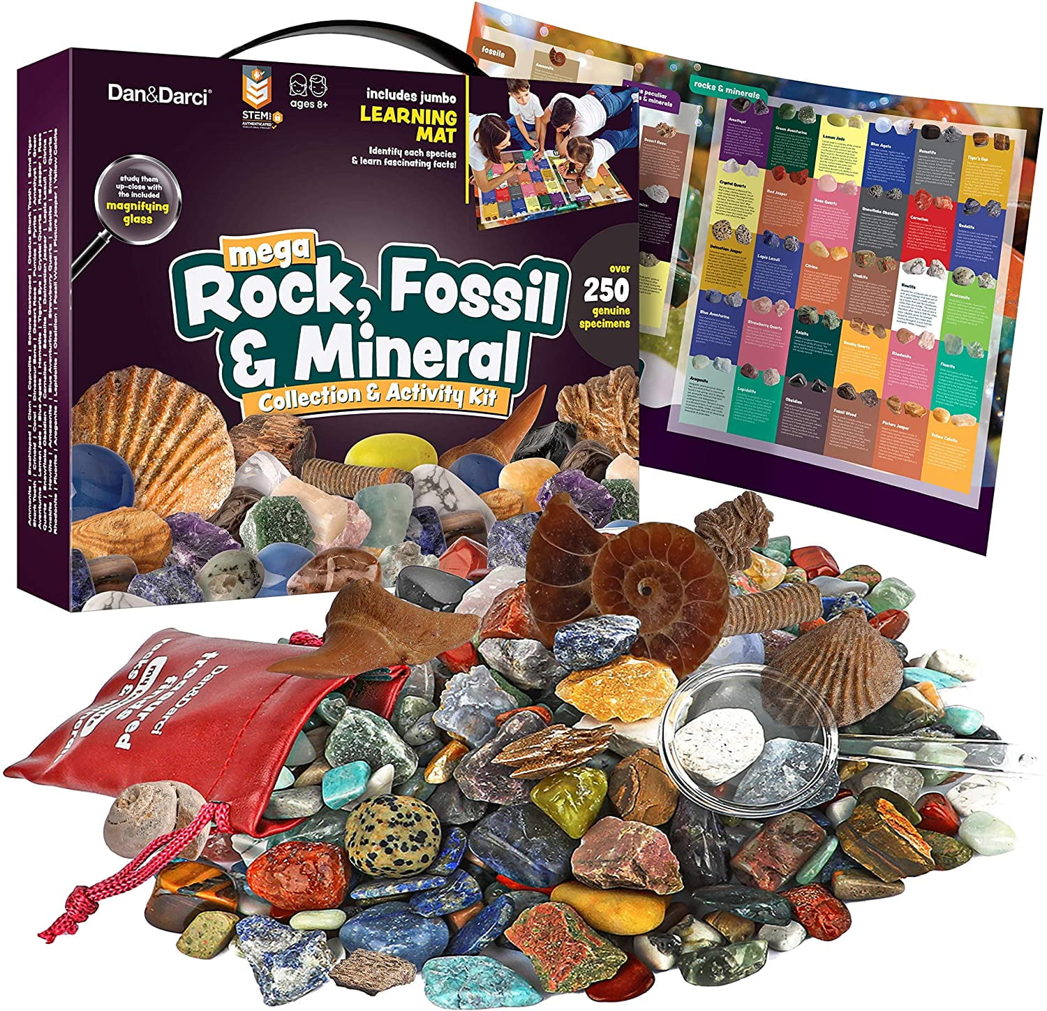 Mega Rock, Fossil & Mineral Collection & Activity Kit. Includes 250 ...
