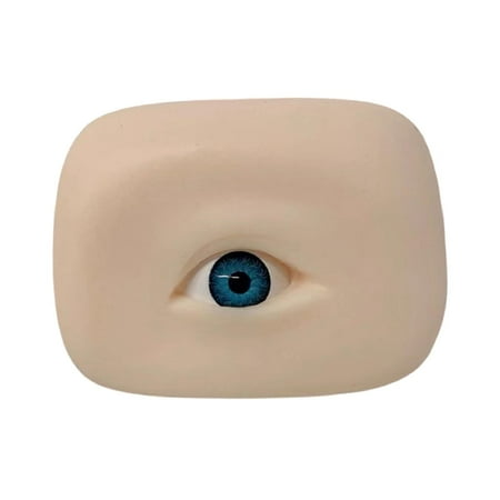 Silicone Eye Model Practice for Training Beginners Accessories Light ...