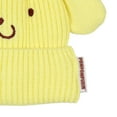 Hello Kitty and Friends Adult Pompompurin Embroidered Character Knit ...