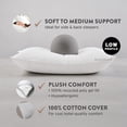 Sobel Westex Sahara Nights Pillow, Queen, Stomach & Back Sleeper, 233TC ...