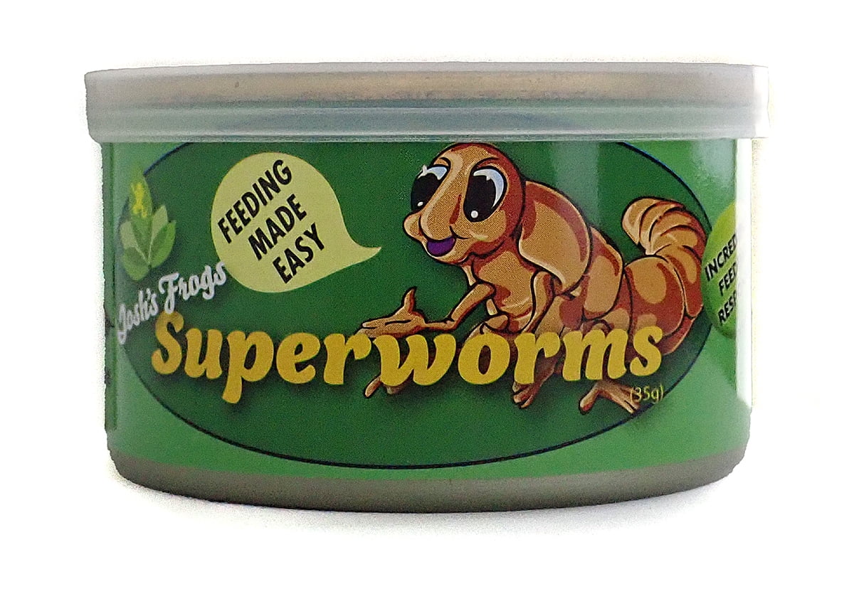 Josh's Frogs Canned Superworms (35g) - Walmart.com