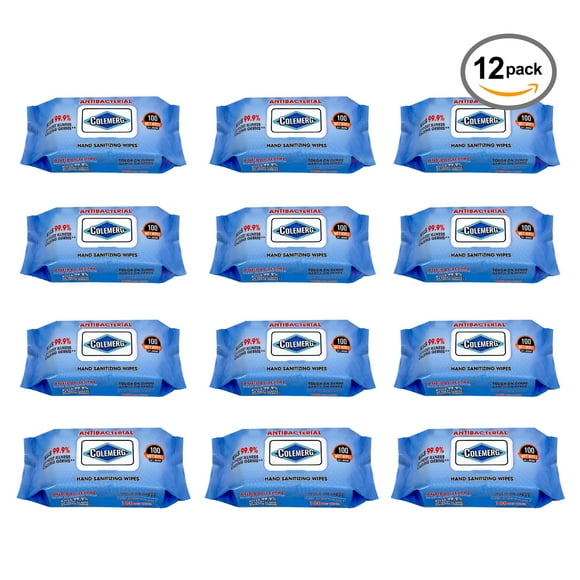 Hand Sanitizing Wipes in Bath & Body - Walmart.com