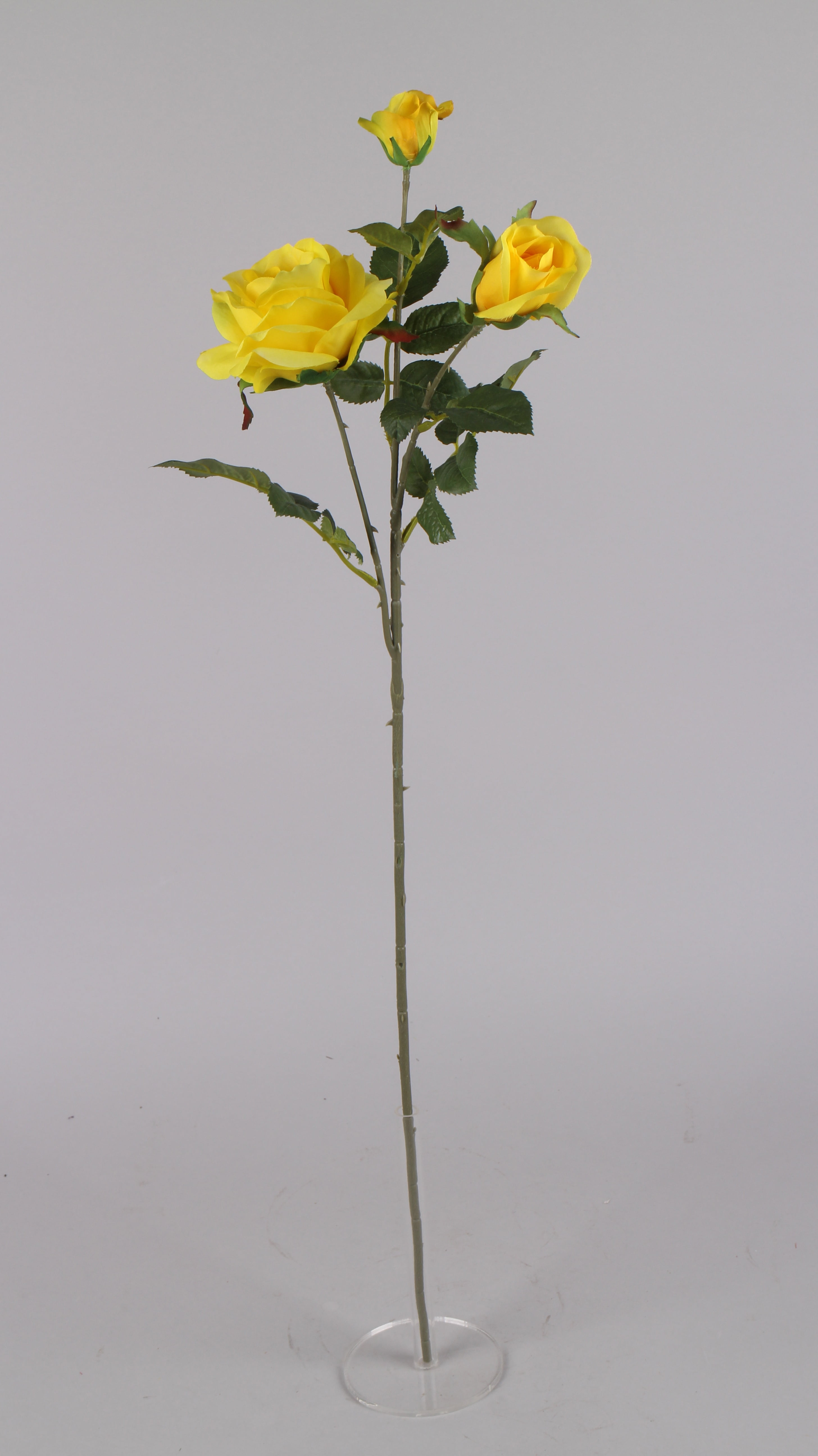 Single Yellow Rose In Vase