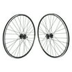 Wheel Master 29 inch Alloy Mountain Disc Wheelset with Ryde Rival30 ...
