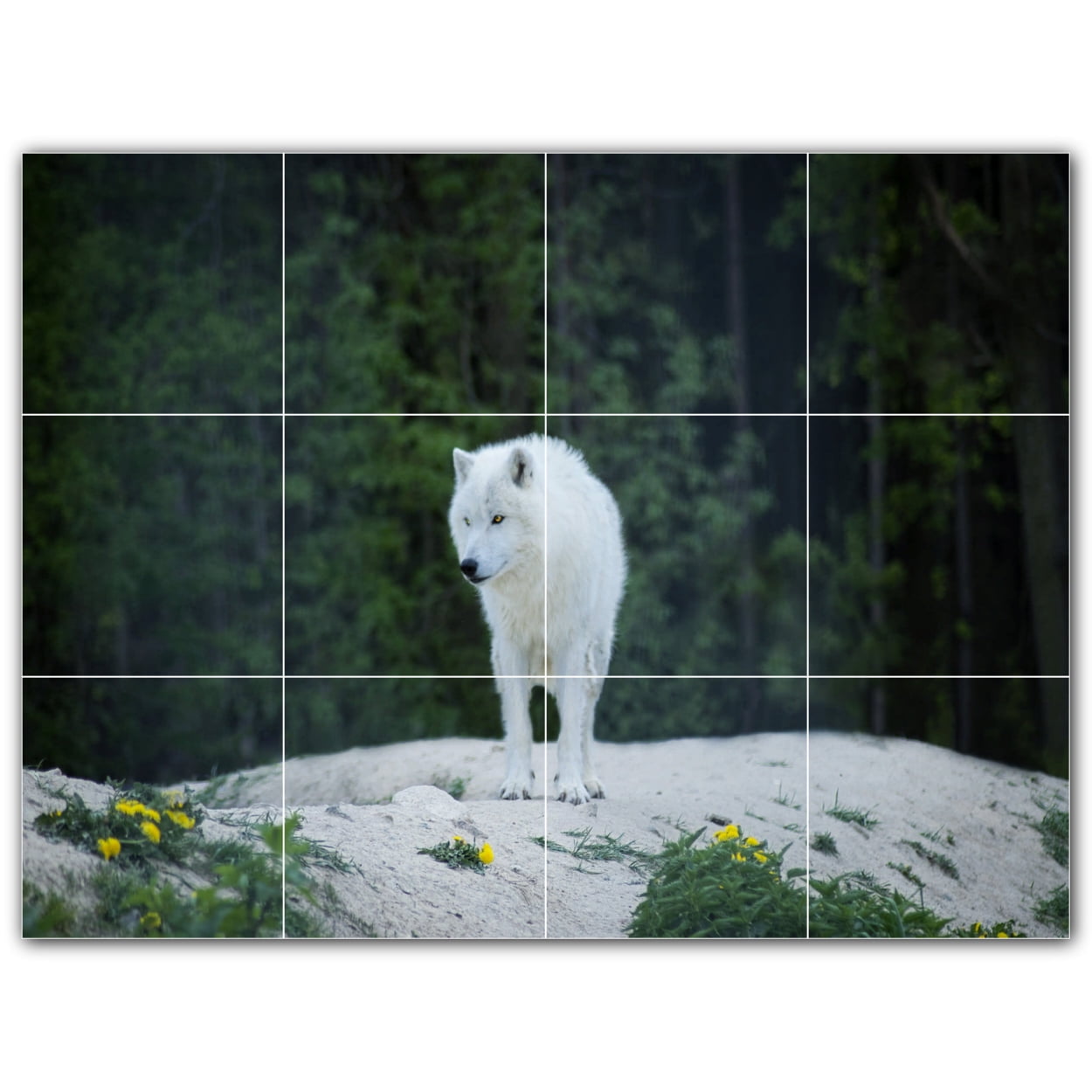 Picture-Tiles.com: Wolf Ceramic Tile Wall Mural WAL501237-43M. 24"W x ...