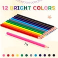 288 Count Colored Pencils Bulk Set, 12 Assorted Colors, Pre-Sharpened ...