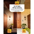 Dawn to Dusk Light Bulb Outdoor, 64 Edison Style Auto Light Sensing ...