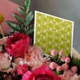 3drose, Image of Trendy Chartreuse Lace, 6 Greeting Cards with ...