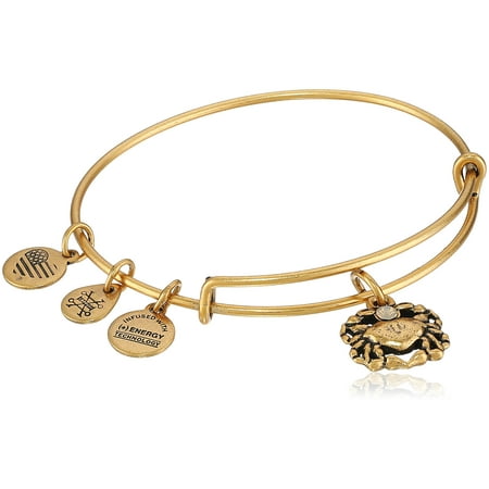 Alex and Ani Crab II EWB, Rafaelian Gold Bangle Bracelet | Walmart Canada