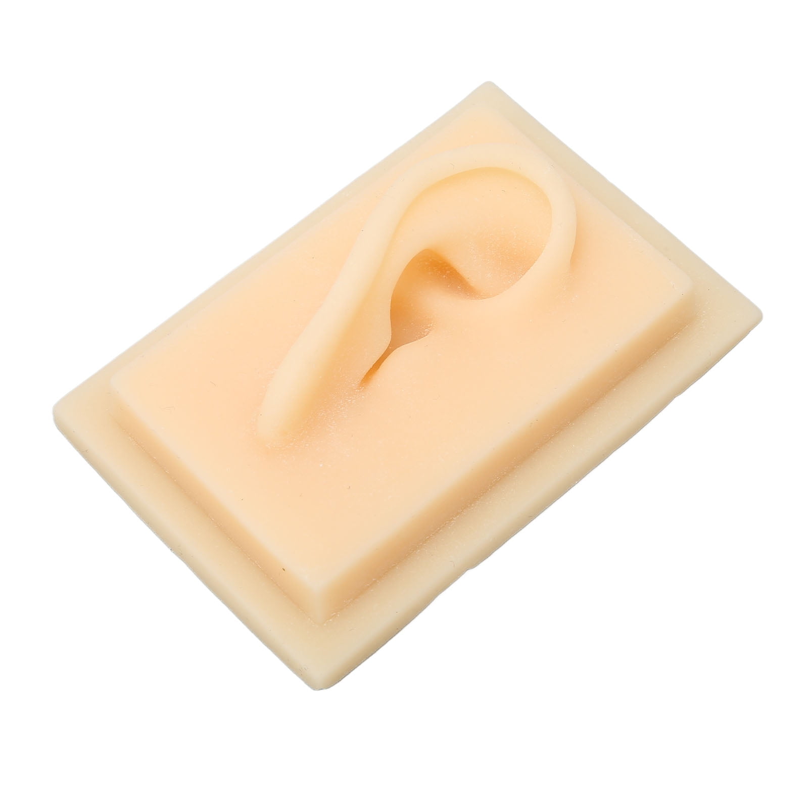 Modelo de oreja, oreja de silicona con textura brillante, oreja de ...