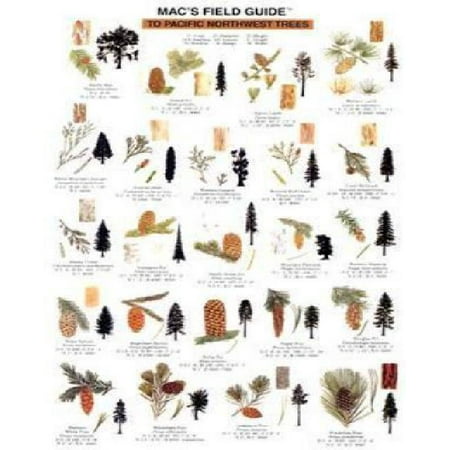 MAC'S FIELD GUIDE TO PACIFIC NORTHWEST TREES - Walmart.com