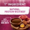 Beyond Wild Beef & Egg Recipe, Dry Dog Food - Walmart.ca