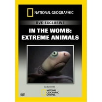 In The Womb: Cats And Dogs (DVD) - Walmart.com