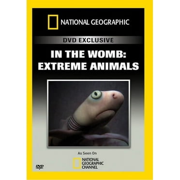 In The Womb: Cats And Dogs (DVD) - Walmart.com