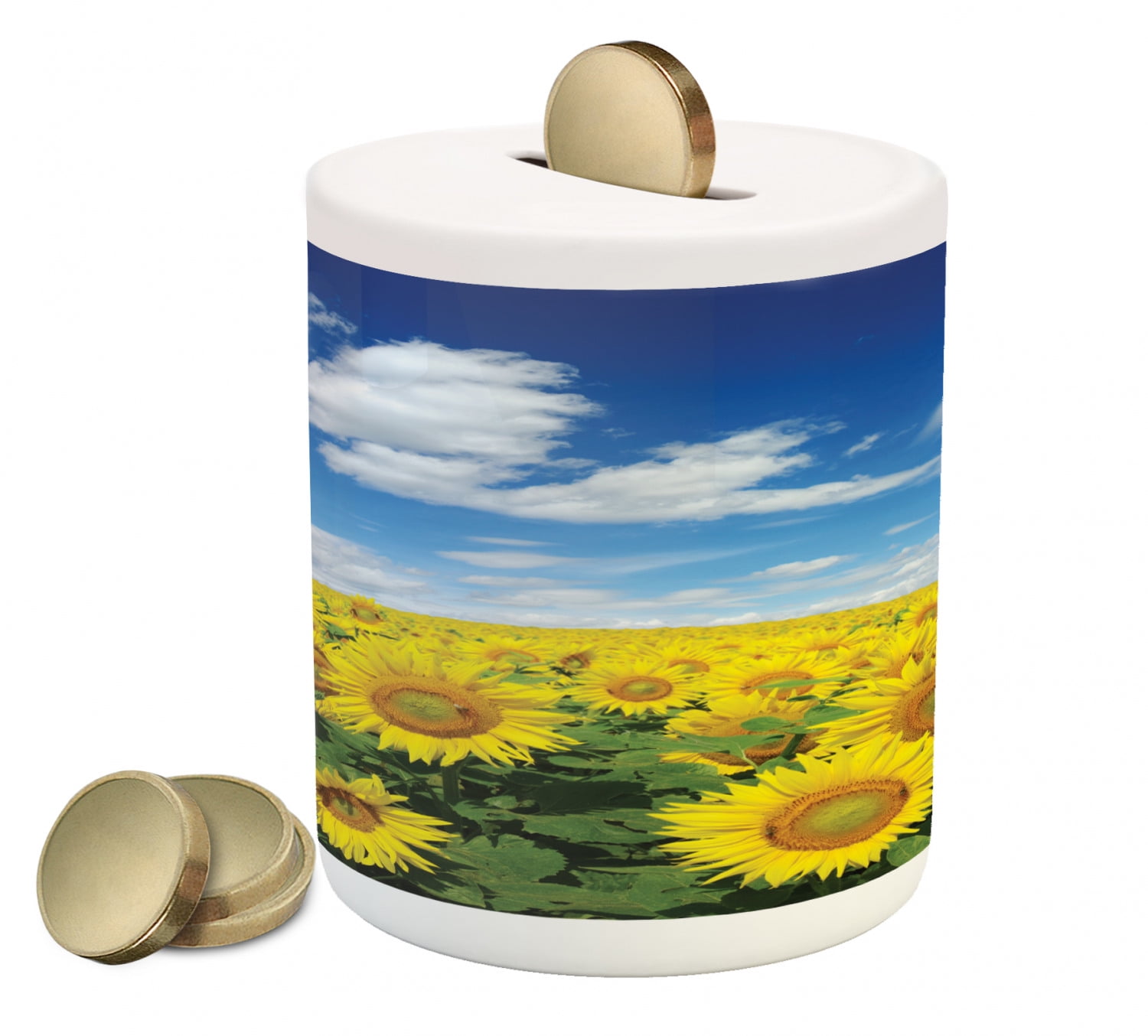 Sunflower Piggy Bank, Fresh Sunflowers Field Under Clear Sky Clouds ...