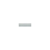 Raybestos R-Line Bleeder Screws - Walmart.com