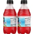 Minute Maid Fruit Punch Juice Drink Bottles, 12 fl oz, 6 Pack - Walmart.com