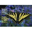 National Audubon Society Pocket Guides: National Audubon Society Pocket ...
