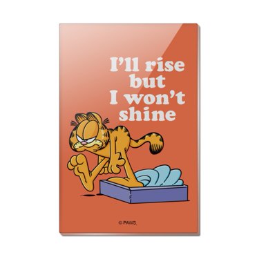 Garfield Whatever Face Rectangle Acrylic Fridge Refrigerator Magnet ...