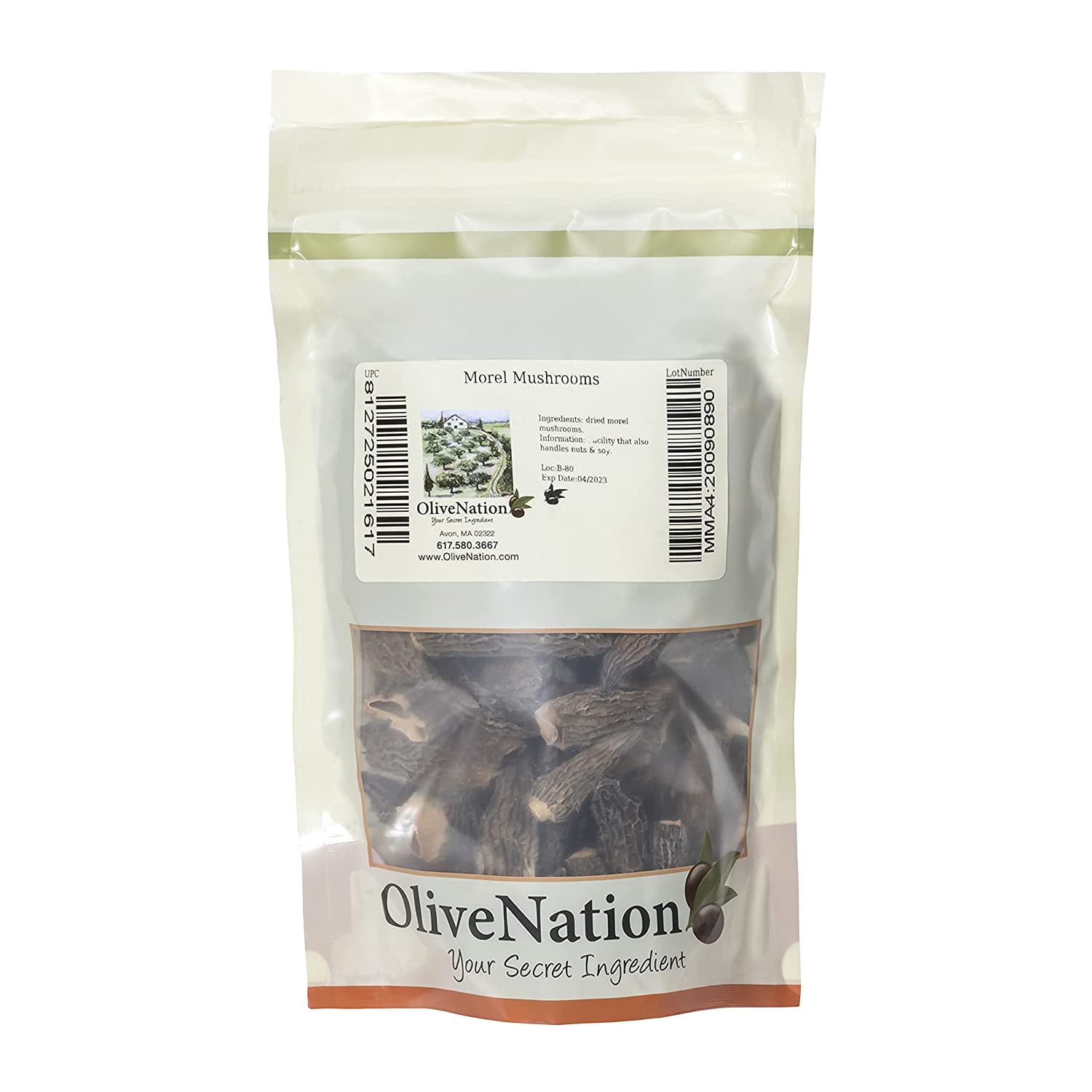 Morel Mushrooms Price