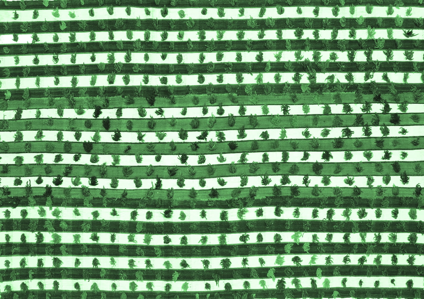 Ahgly Company Indoor Rectangle Southwestern Emerald Green Country Area ...