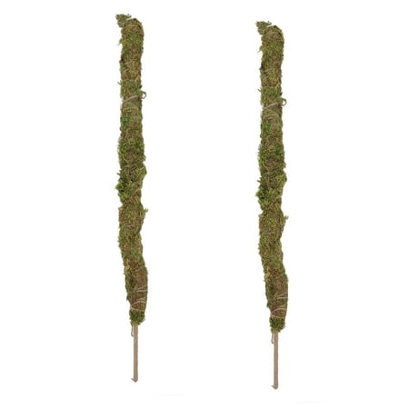 Moss Plant Rod, Moss Pole Safe Provides Support Bendable Plant Support ...