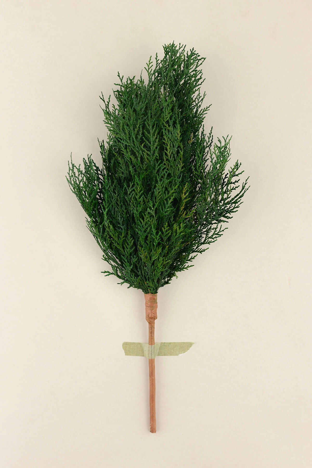 Cedar Limb Crafts