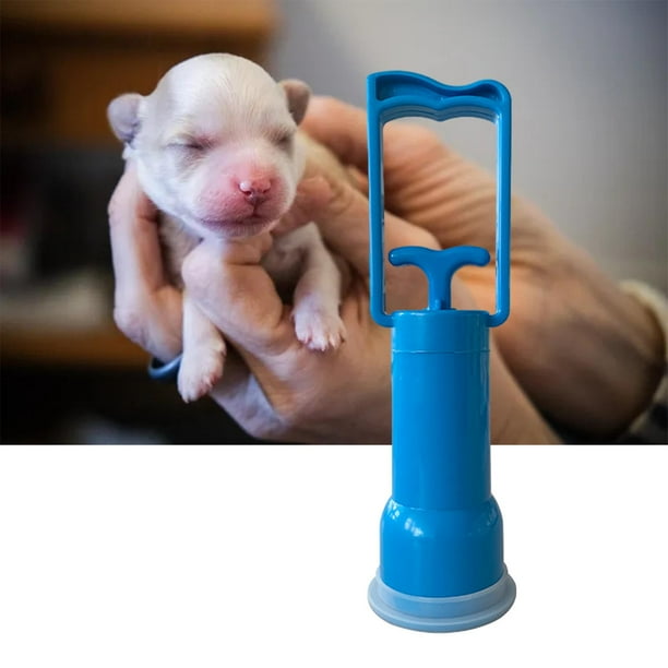Piglet Breathing Pump Farm Supplies Rebreather for Cat Newborn Pets Pig ...