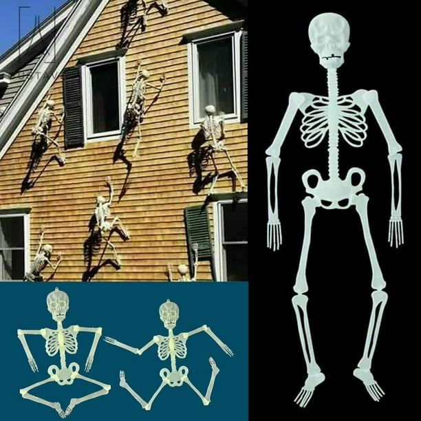 Gustave 4-Pack 5FT Poseable Human Skeleton Halloween Decoration Full ...