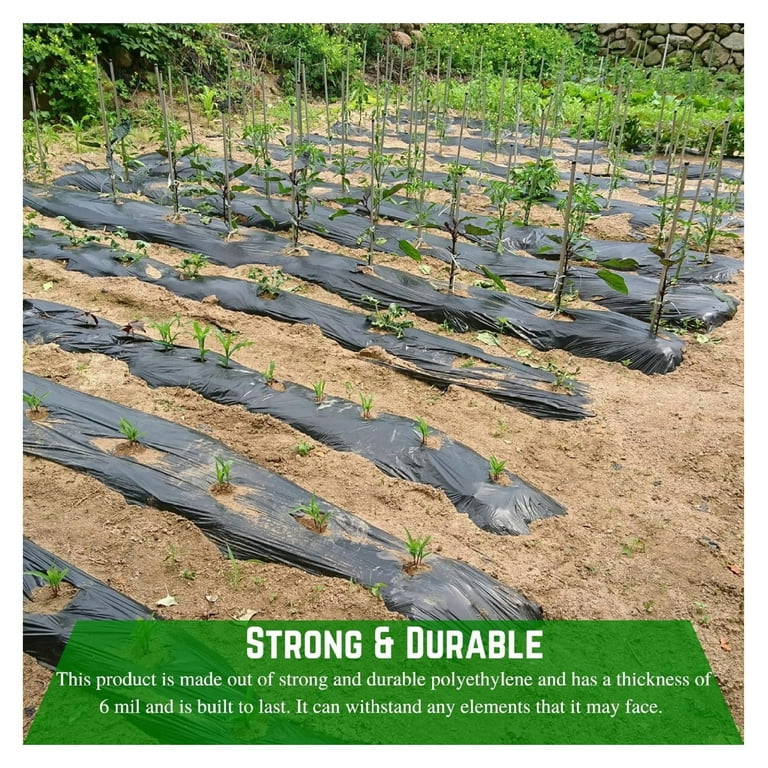 Plastic Ground Cover Weed Control Weed Control 6 Mil Black