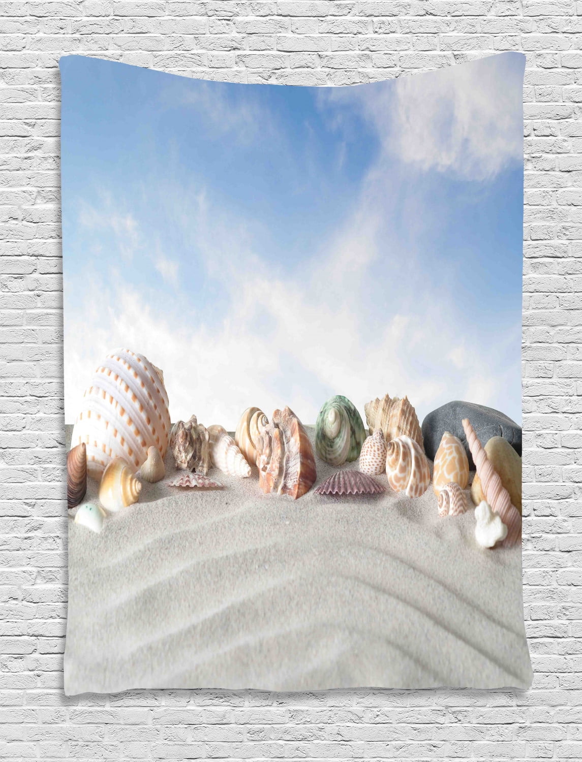 Shell Tapestry, Fragile Seashells on Sand Hill with Sky Background ...