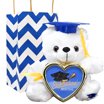 9" Graduation Plush Teddy Bear with Cap & Diploma Holding Heart Frame ...