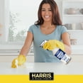 Harris Chemical Resistant 32 oz Mister/Sprayer Spray Bottle - Walmart.com