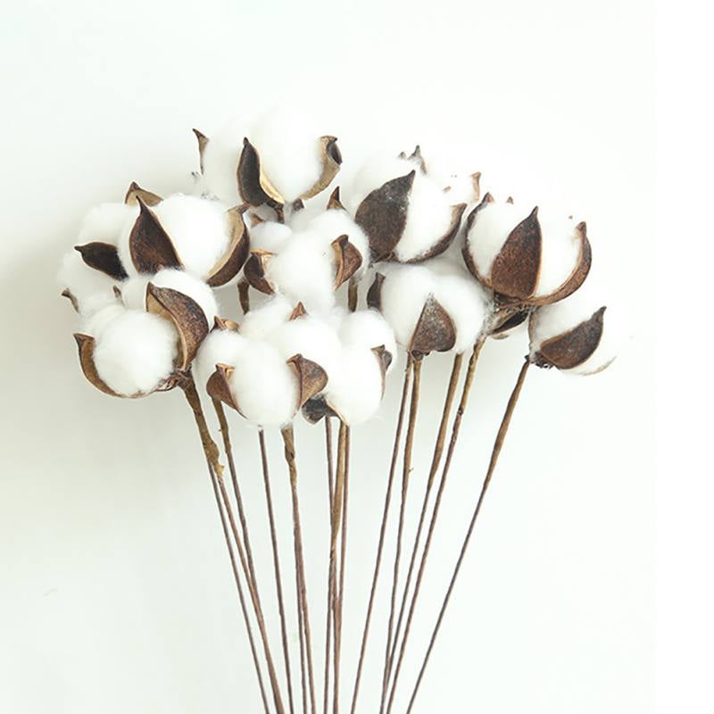 23 Inches Cotton Stems, Fake Cotton Flowers Dried Cotton Picks Stalks ...