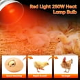 HIBIBUD Heat Lamp for Chickens,250 Watt Red Heat Lamp Bulbs,Infrared ...