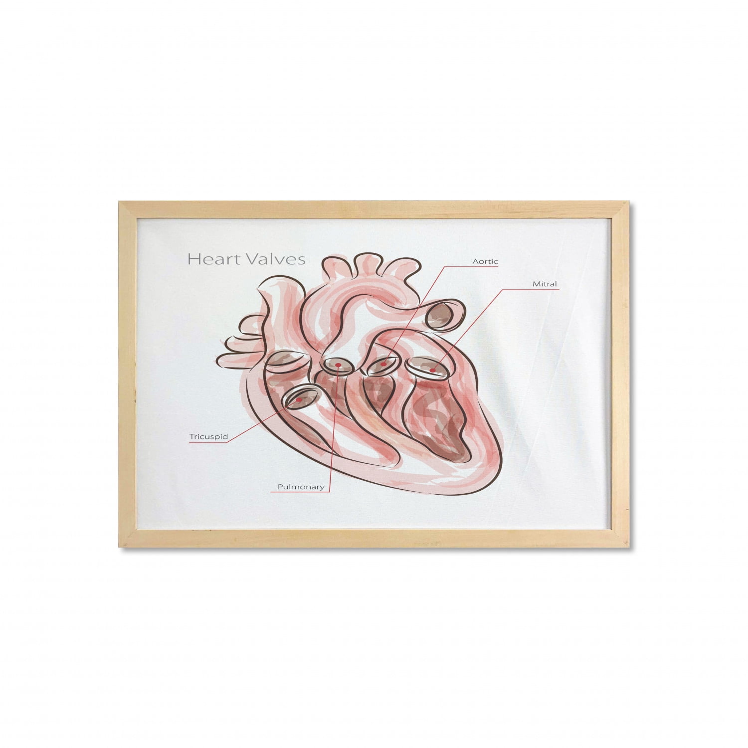 Biology Wall Art with Frame, Educational Infographic Aortic Heart ...